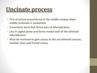 Anatomy of NASAL CAVITY related to FESS | PPTX