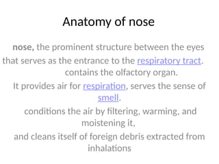 Anatomy of nose seminar in Otorhinology | PPTX