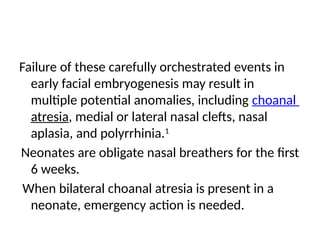 Anatomy of nose seminar in Otorhinology | PPTX