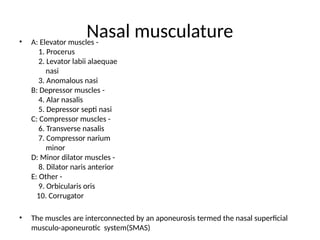 Anatomy of nose seminar in Otorhinology | PPTX