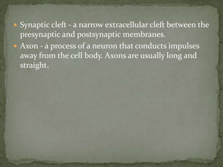 Anatomy of ns | PPTX