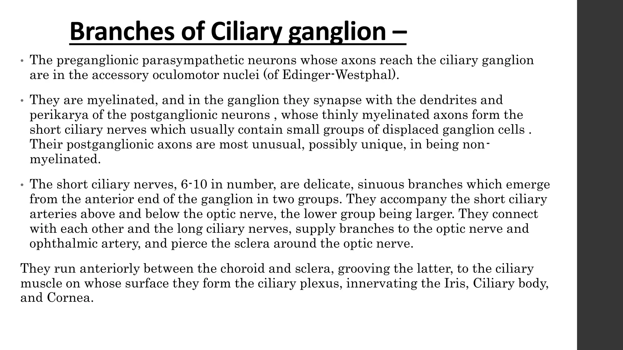 Anatomy of oculomotor nerve | PPTX