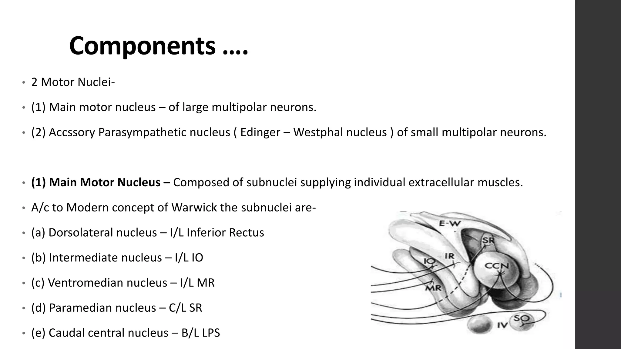 Anatomy of oculomotor nerve | PPTX