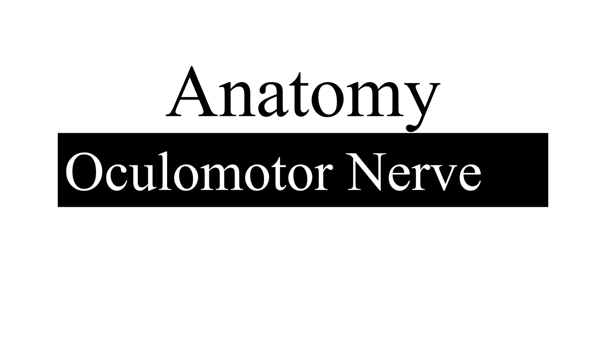 Anatomy Of Oculomotor Nerve.pptx Anatomy of cranial nerves | PPTX | Eye and Vision Conditions ...