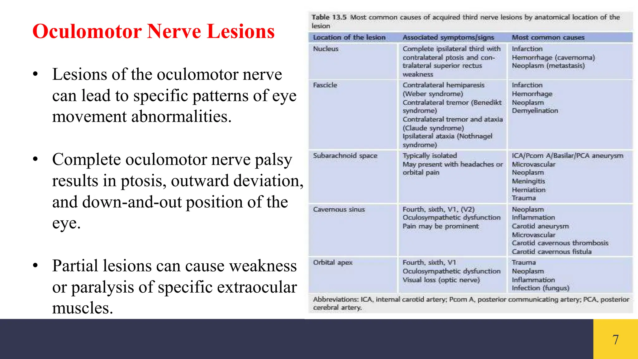 Anatomy Of Oculomotor Nerve.pptx Anatomy of cranial nerves | PPTX | Eye and Vision Conditions ...
