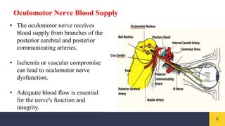 Anatomy Of Oculomotor Nerve.pptx Anatomy of cranial nerves | PPTX