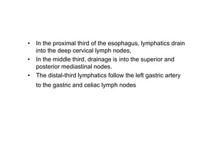 Anatomy of oesophagus.ppt