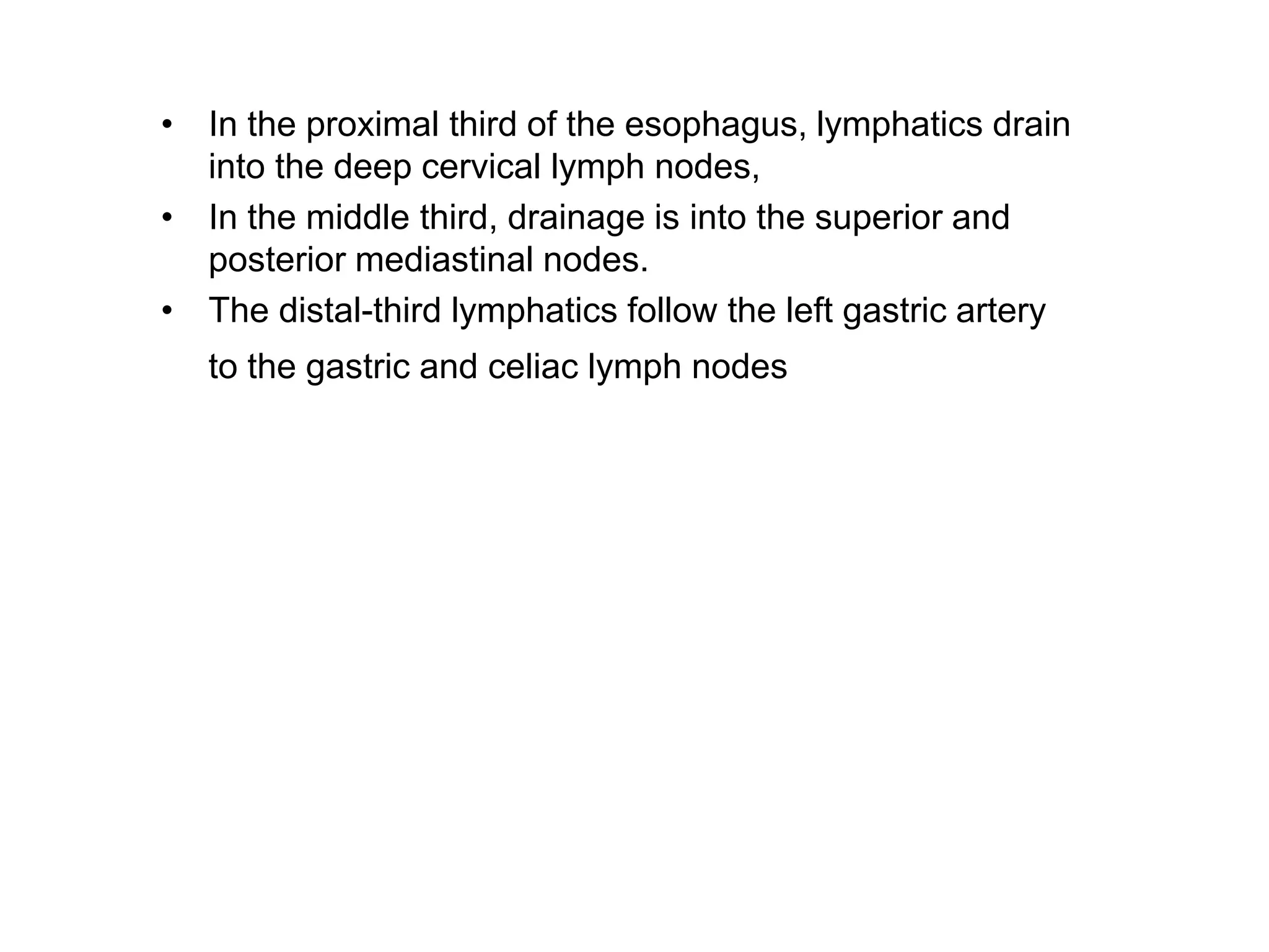 Anatomy of oesophagus.ppt including relations narrow points etc | PPT