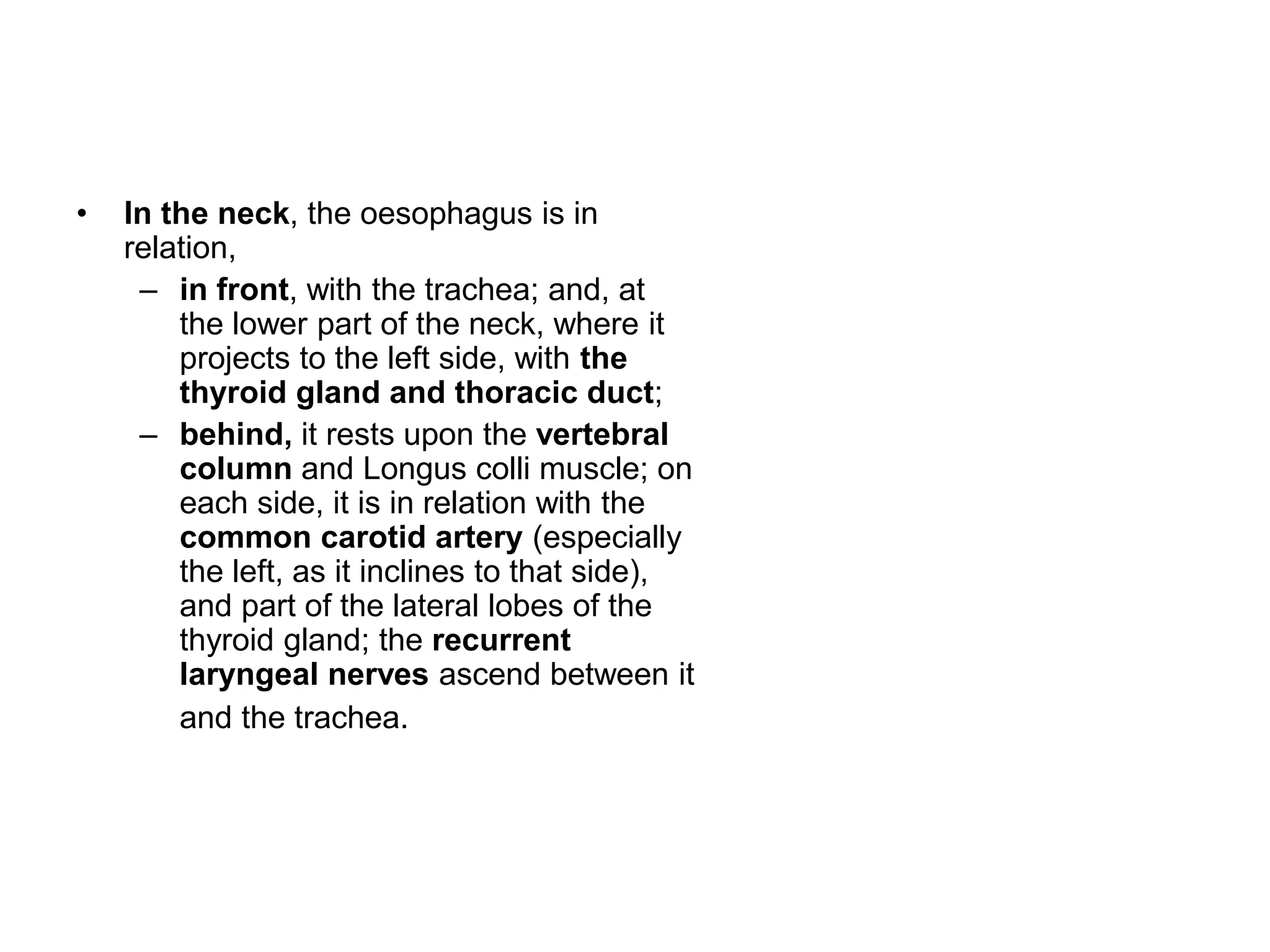 Anatomy of oesophagus.ppt including relations narrow points etc | PPT