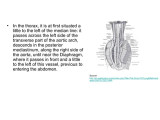 Basic anatomy of esophagus for students .ppt