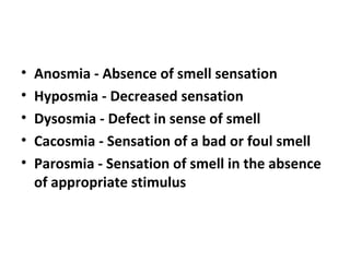 Anatomy of olfactory system | PPT