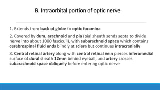 Anatomy of Optic Nerve.pptx