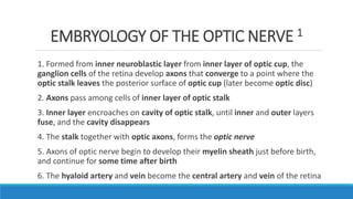 Anatomy of Optic Nerve.pptx