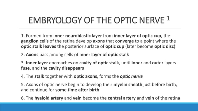 Anatomy of Optic Nerve.pptx
