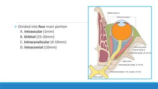 Anatomy of Optic Nerve.pptx