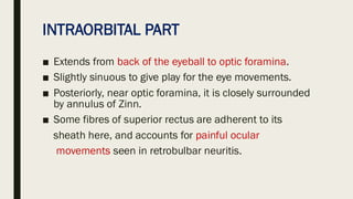 ANATOMY OF OPTIC NERVE.pdf ophthalmology topic | PDF | Eye and Vision ...