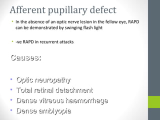 Optic nerve Clinical significance | PPT