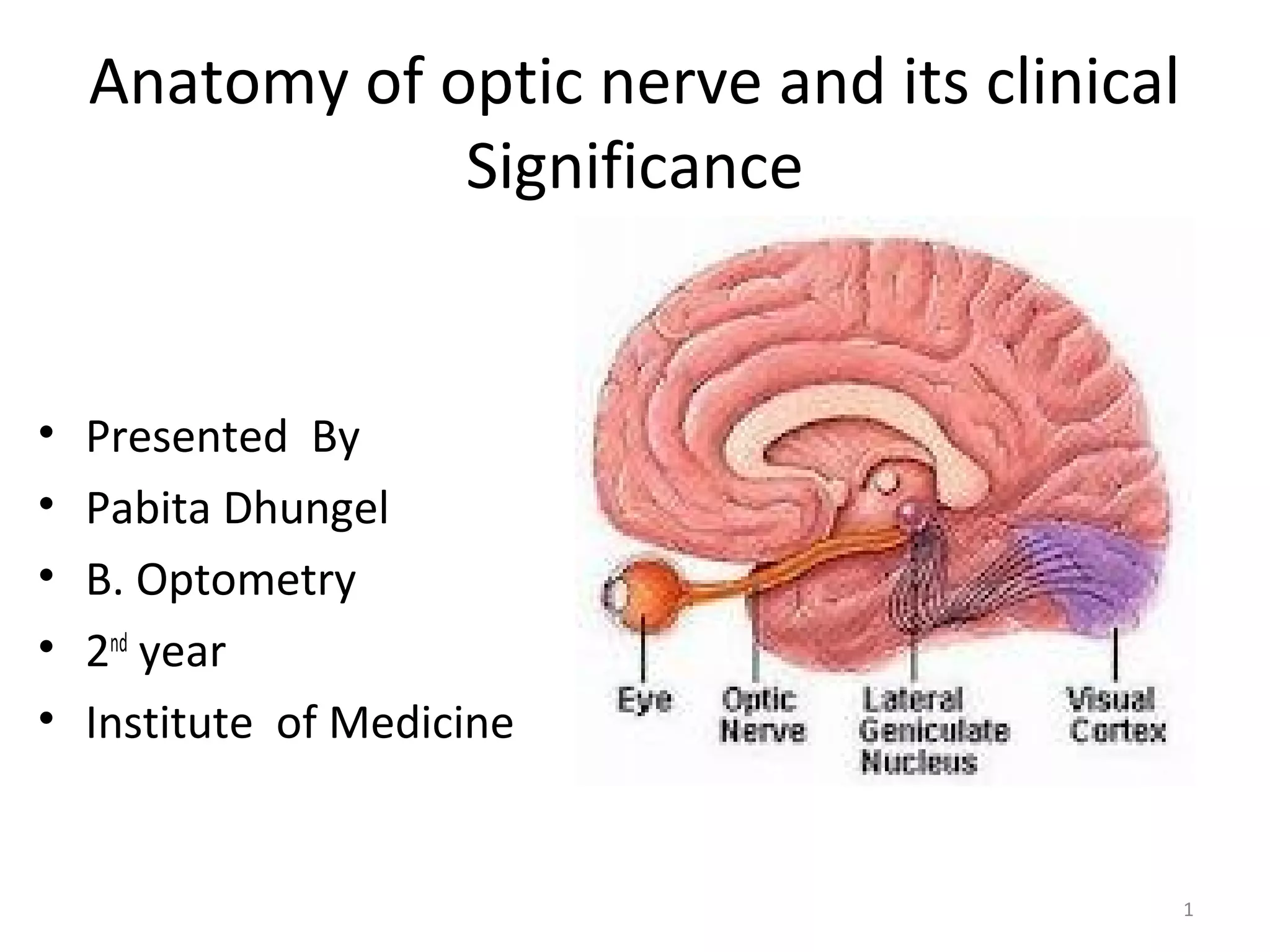 Anatomy of optic nerve and its clinical significance | PPT