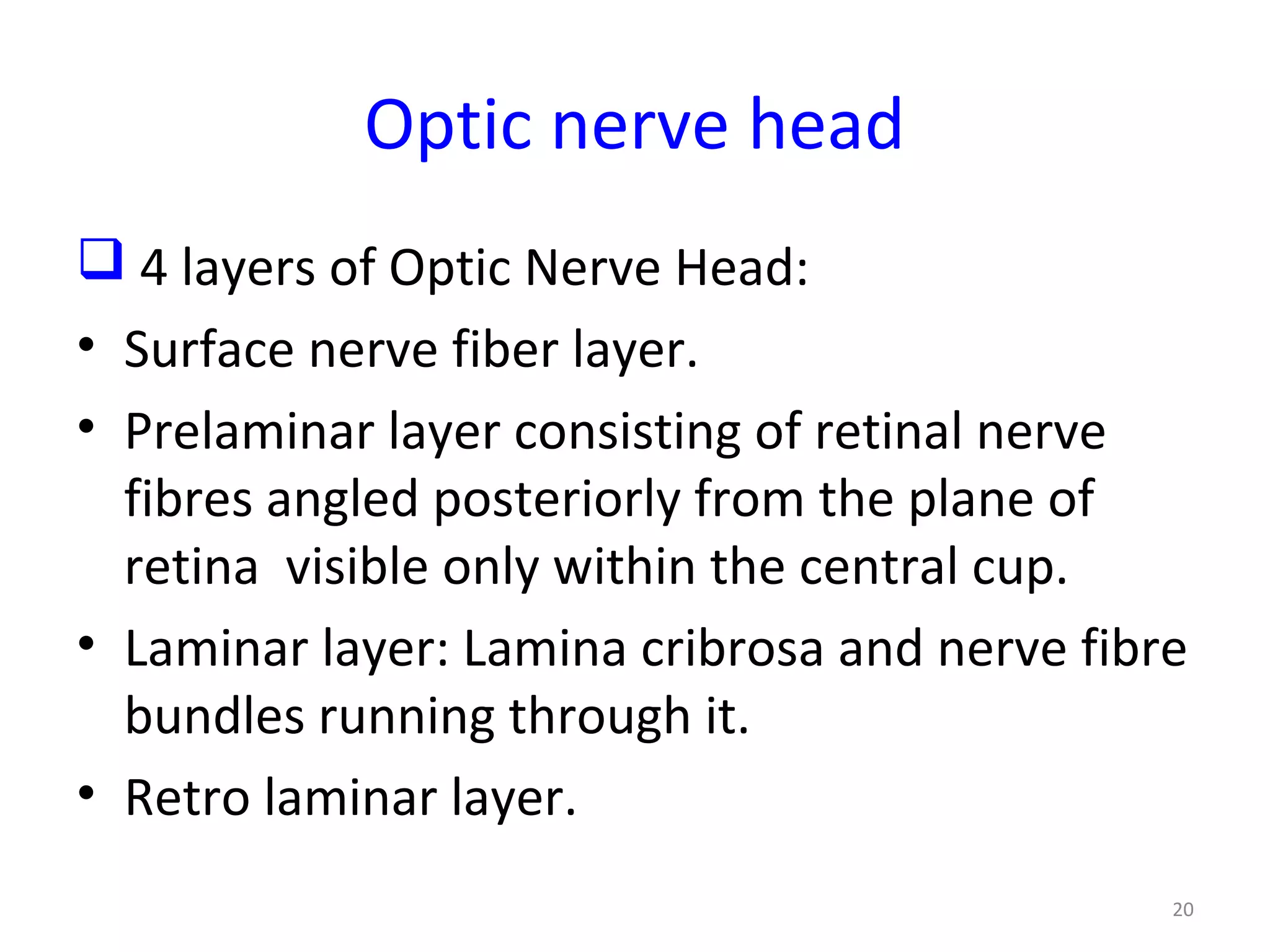 Anatomy of optic nerve and its clinical significance | PPT