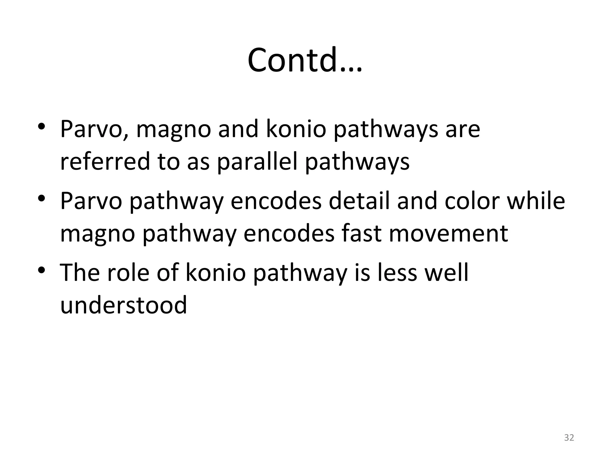 Anatomy of optic nerve and its clinical significance | PPT