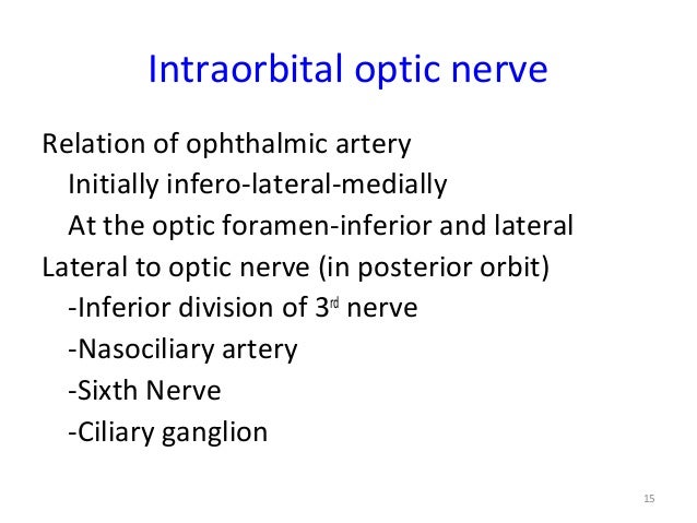 Anatomy of optic nerve and its clinical significance