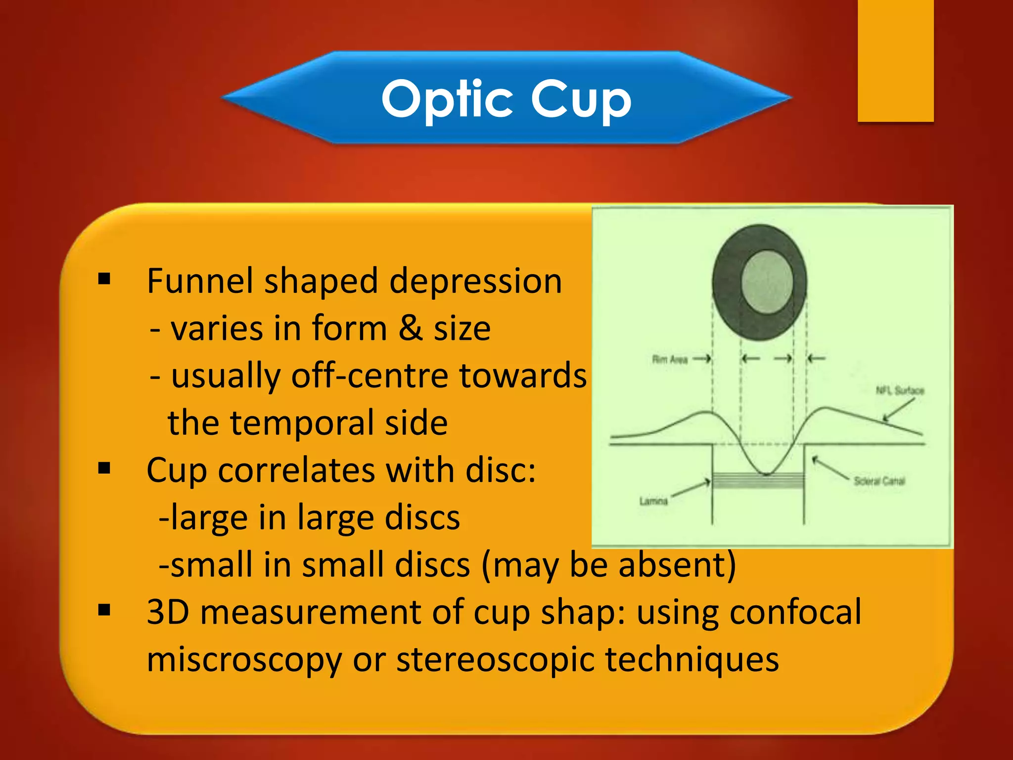 Anatomy of optic nerve (Optic Nerve Anatomy), Blood Supply & Clinical ...