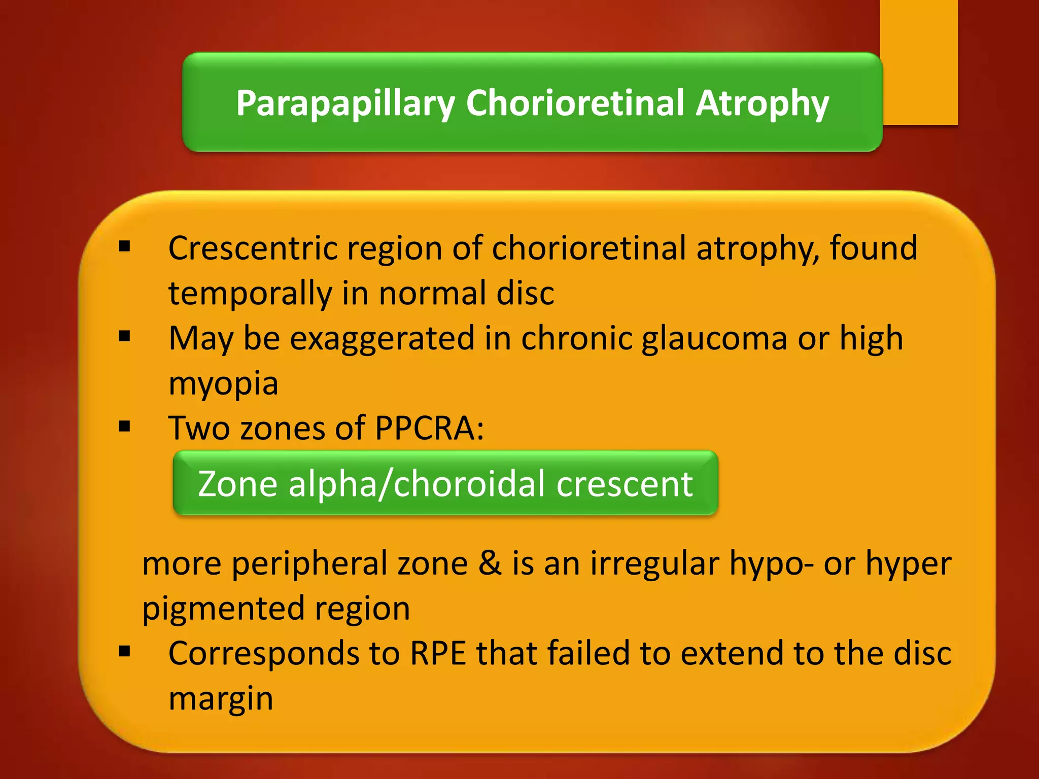 Anatomy of optic nerve (Optic Nerve Anatomy), Blood Supply & Clinical ...