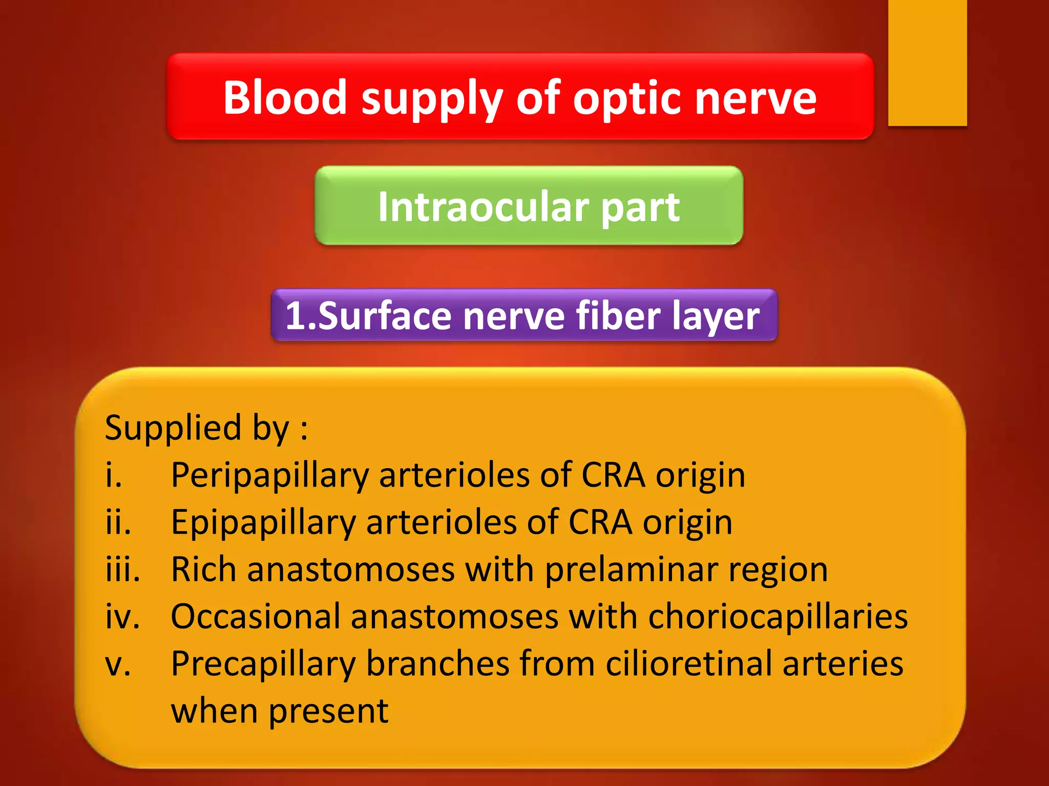 Anatomy of optic nerve (Optic Nerve Anatomy), Blood Supply & Clinical ...