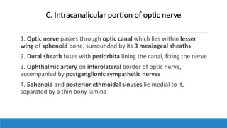 Anatomy of Optic Nerve presenter.pptx
