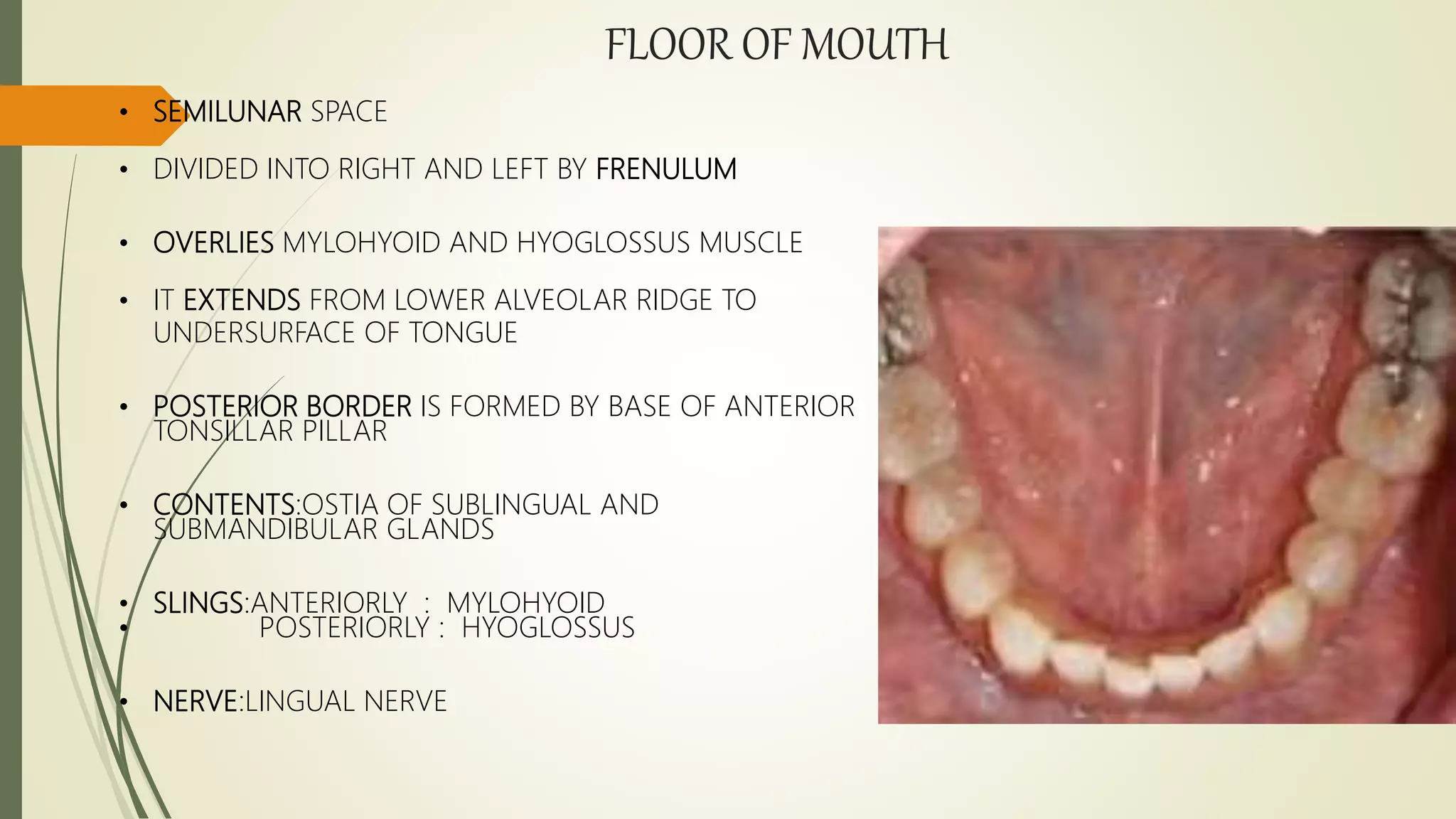 Anatomy of oral cavity and oropharynx | PPTX