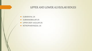 Anatomy of oral cavity and oropharynx | PPTX