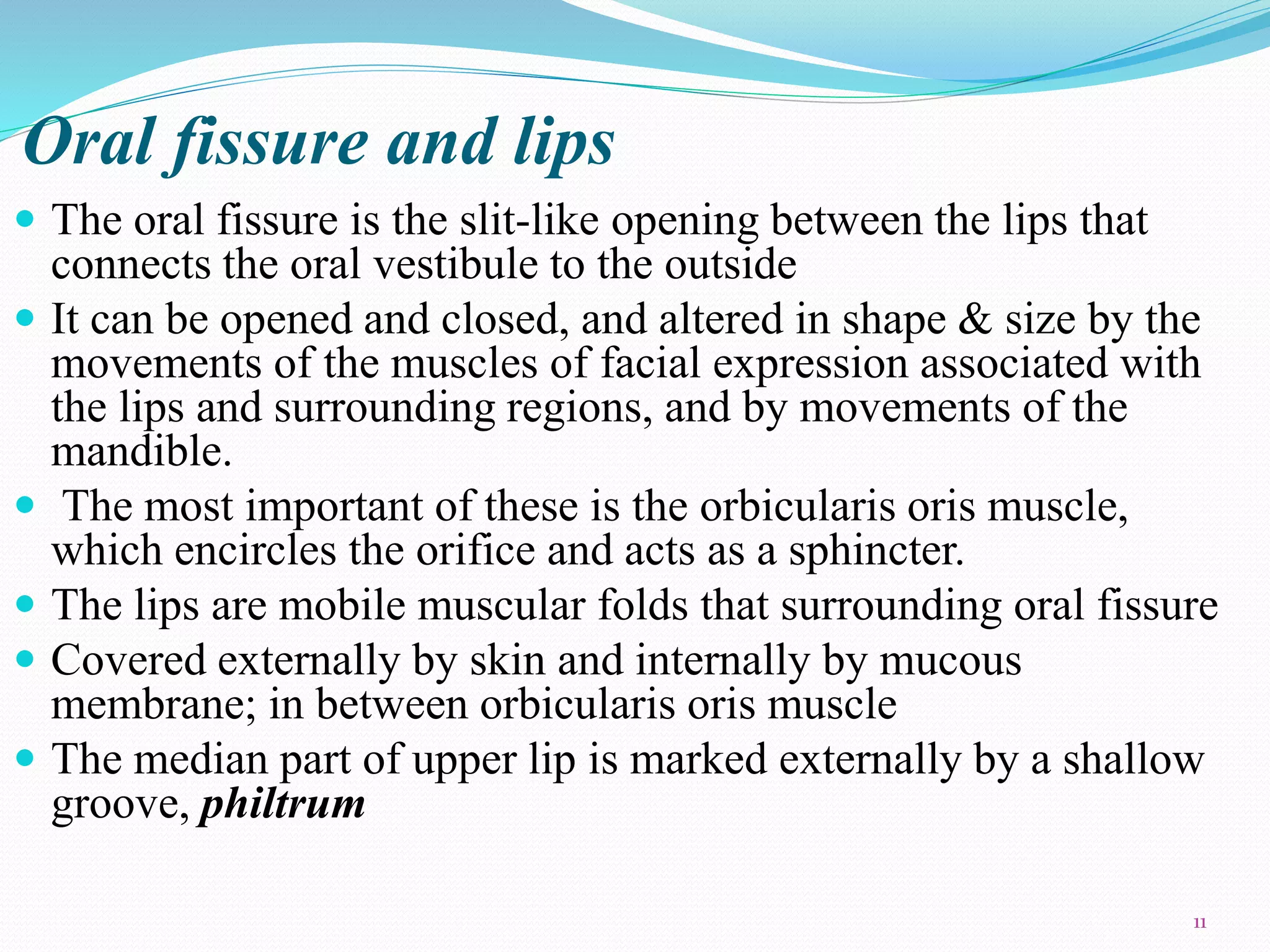 Anatomy of oral cavity | PPTX