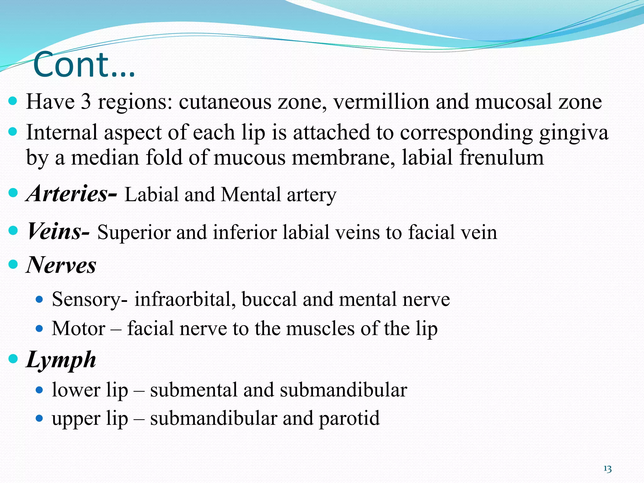 Anatomy of oral cavity | PPTX