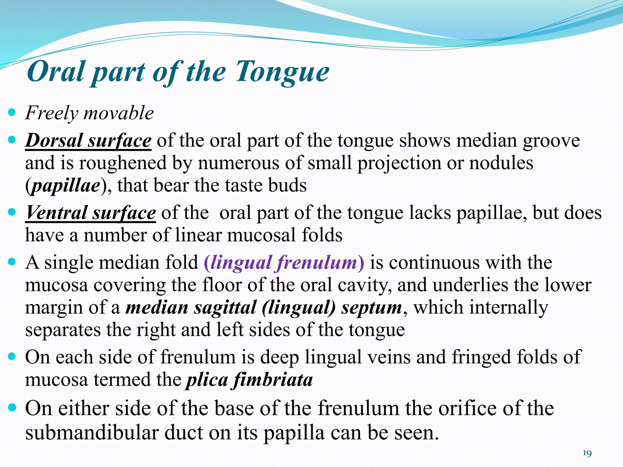 Anatomy of oral cavity | PPTX