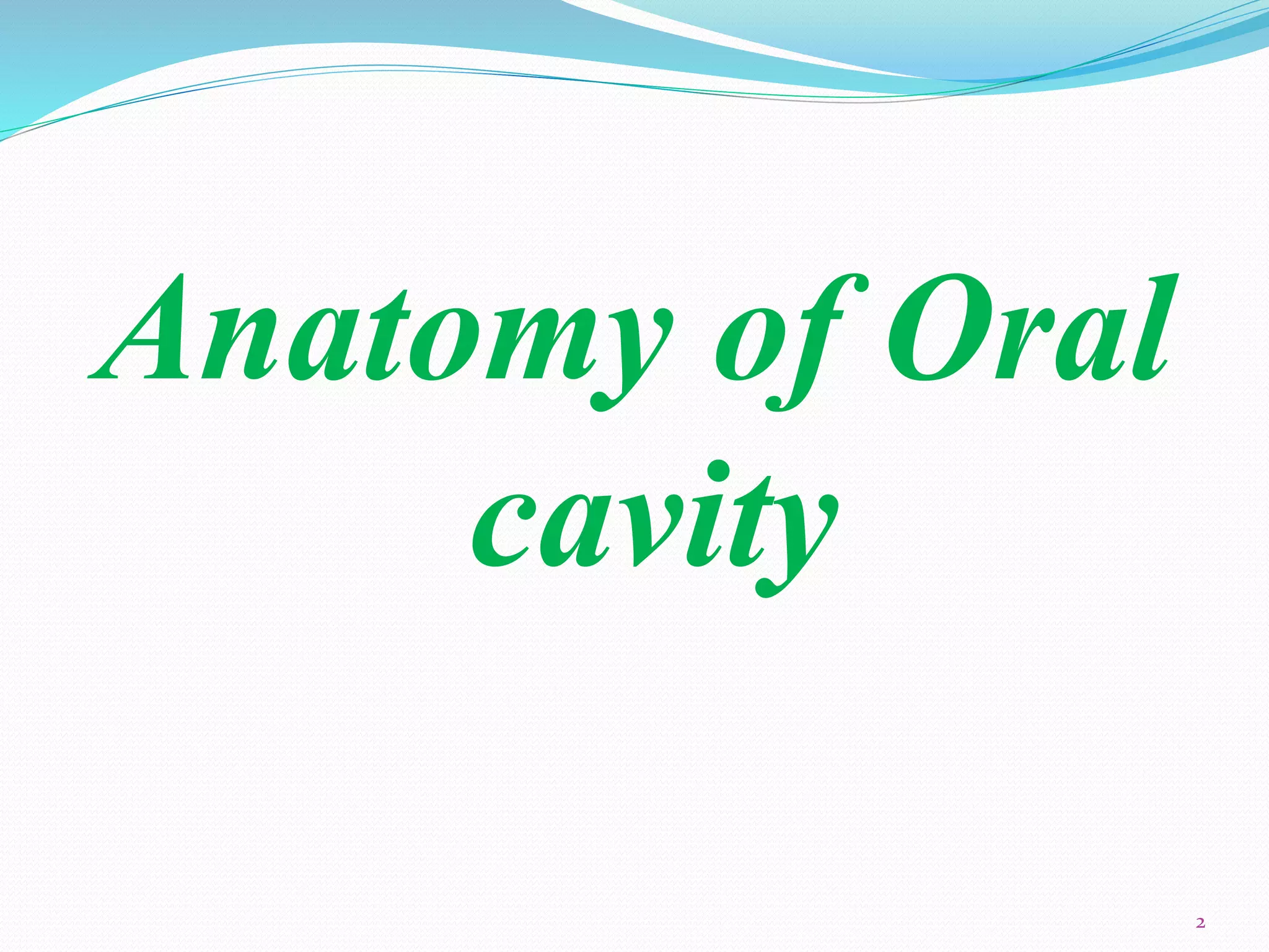 Anatomy of oral cavity | PPTX | Ear, Nose and Throat Conditions | Diseases and Conditions