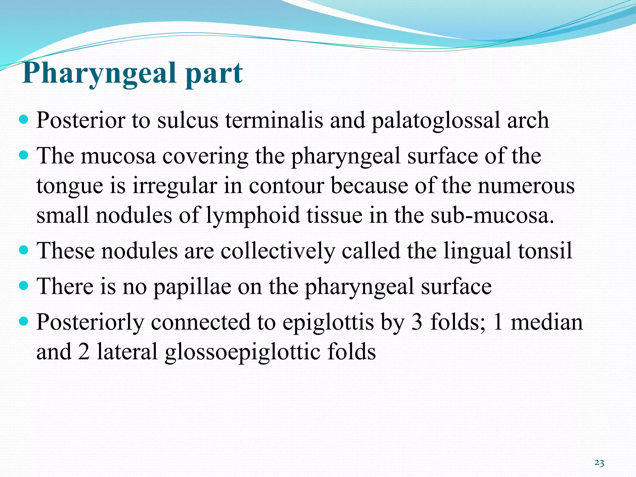 Anatomy of oral cavity | PPTX