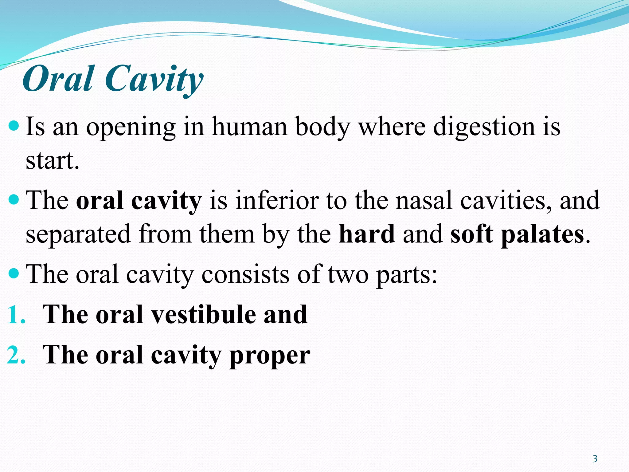 Anatomy of oral cavity | PPTX