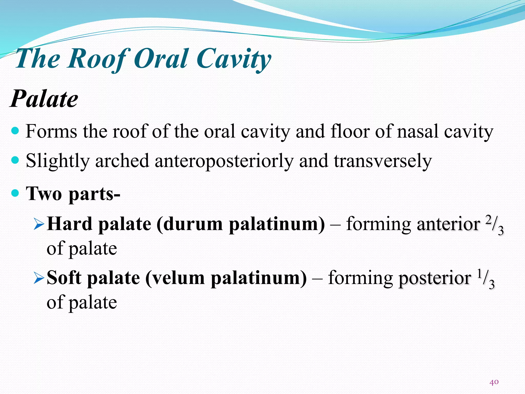 Anatomy of oral cavity | PPTX
