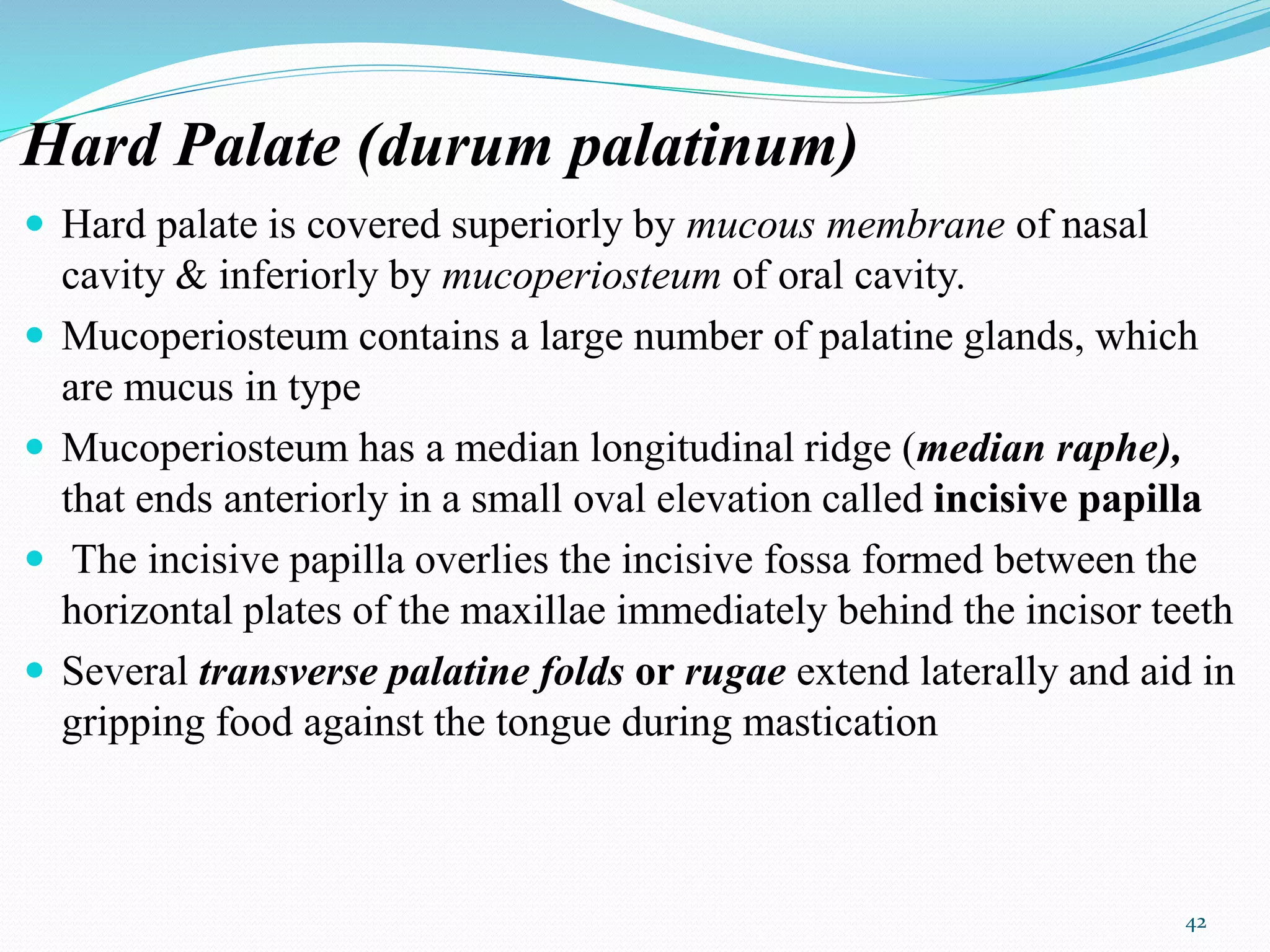 Anatomy of oral cavity | PPTX