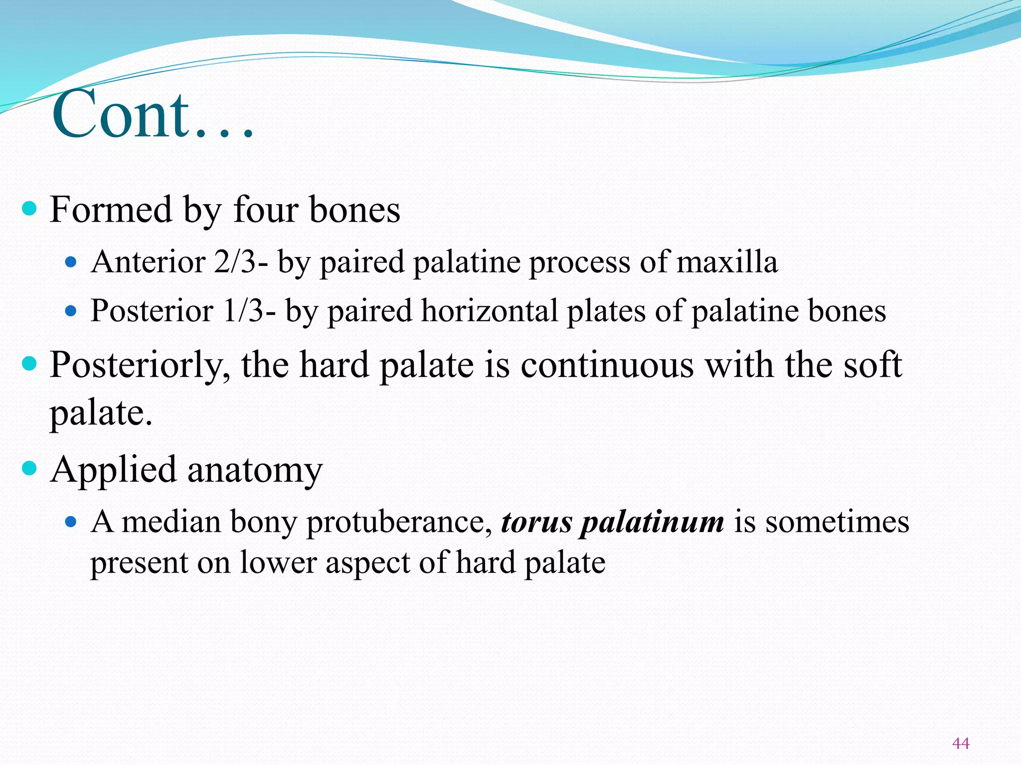 Anatomy of oral cavity | PPTX