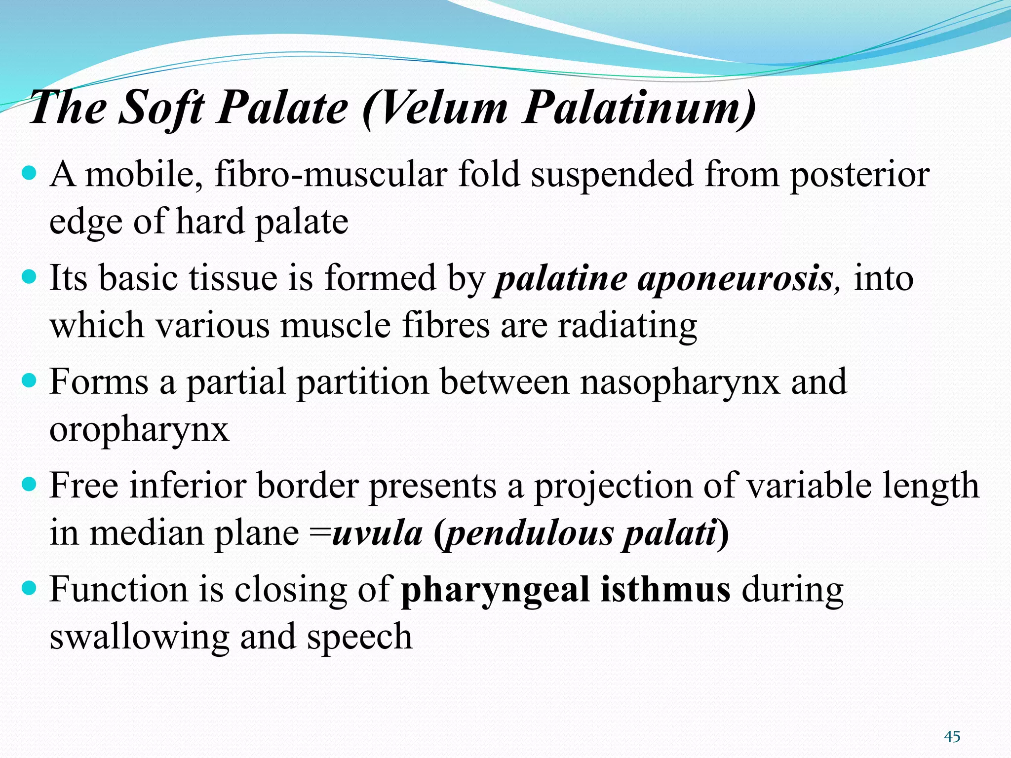 Anatomy of oral cavity | PPTX