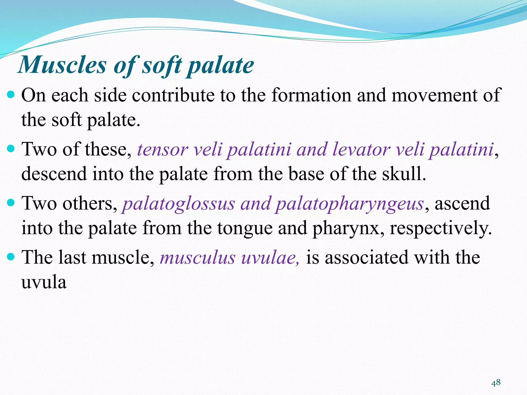 Anatomy of oral cavity | PPTX