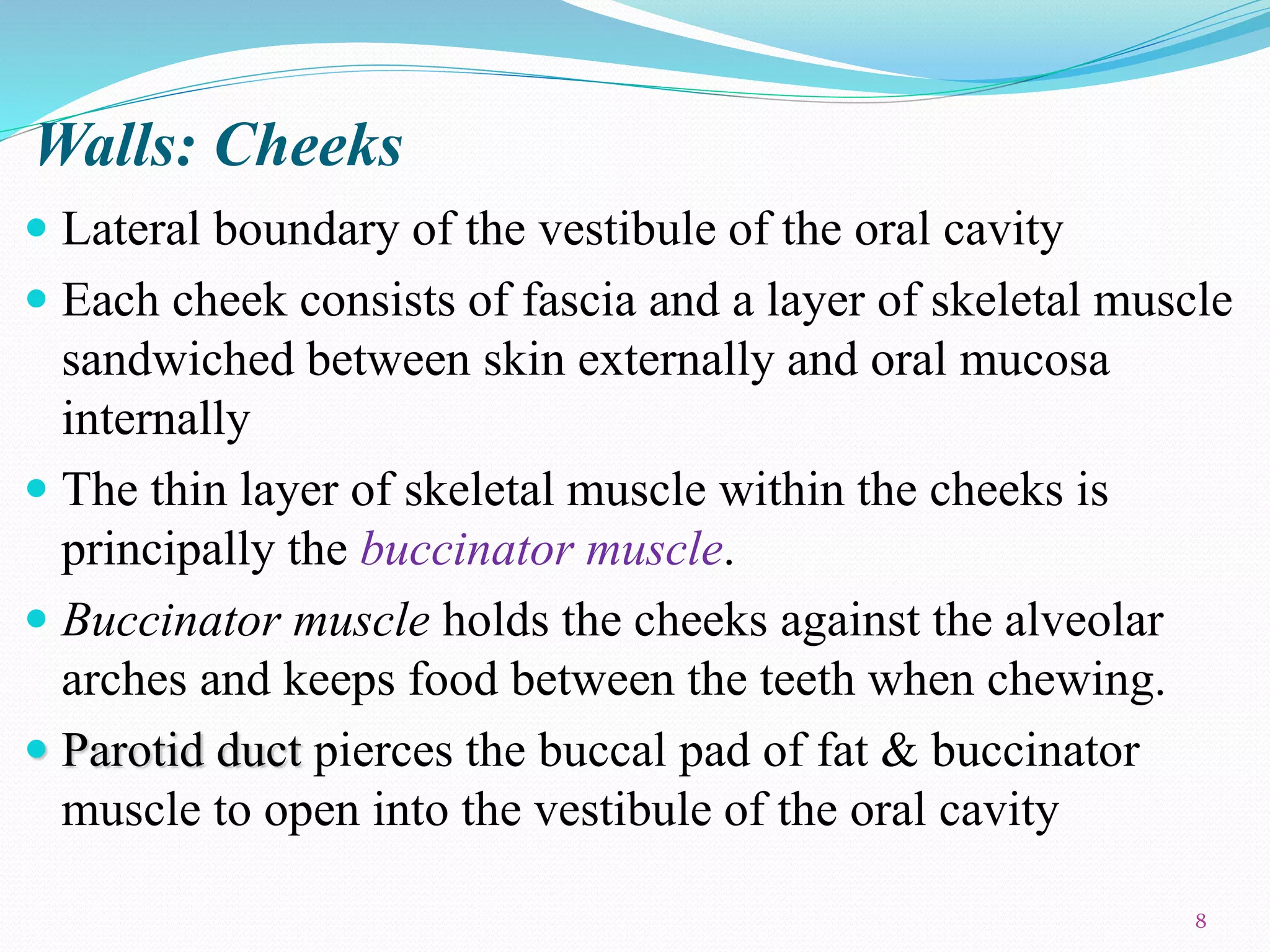 Anatomy of oral cavity | PPTX