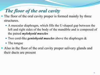 Anatomy of oral cavity | PPTX