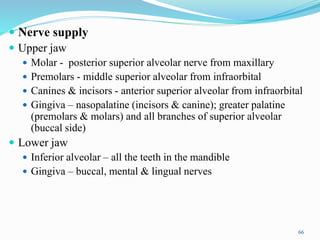 Anatomy of oral cavity | PPTX