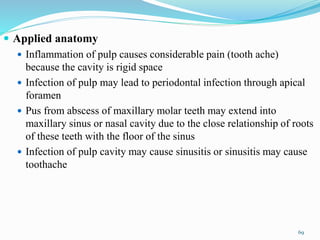 Anatomy of oral cavity | PPTX