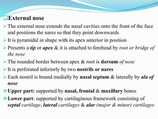 Anatomy of oral cavity | PPTX