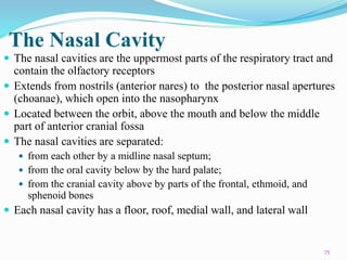 Anatomy of oral cavity | PPTX