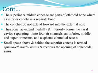 Anatomy of oral cavity | PPTX