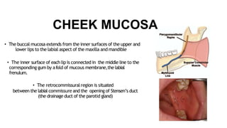 Anatomy of oral cavity .pptx
